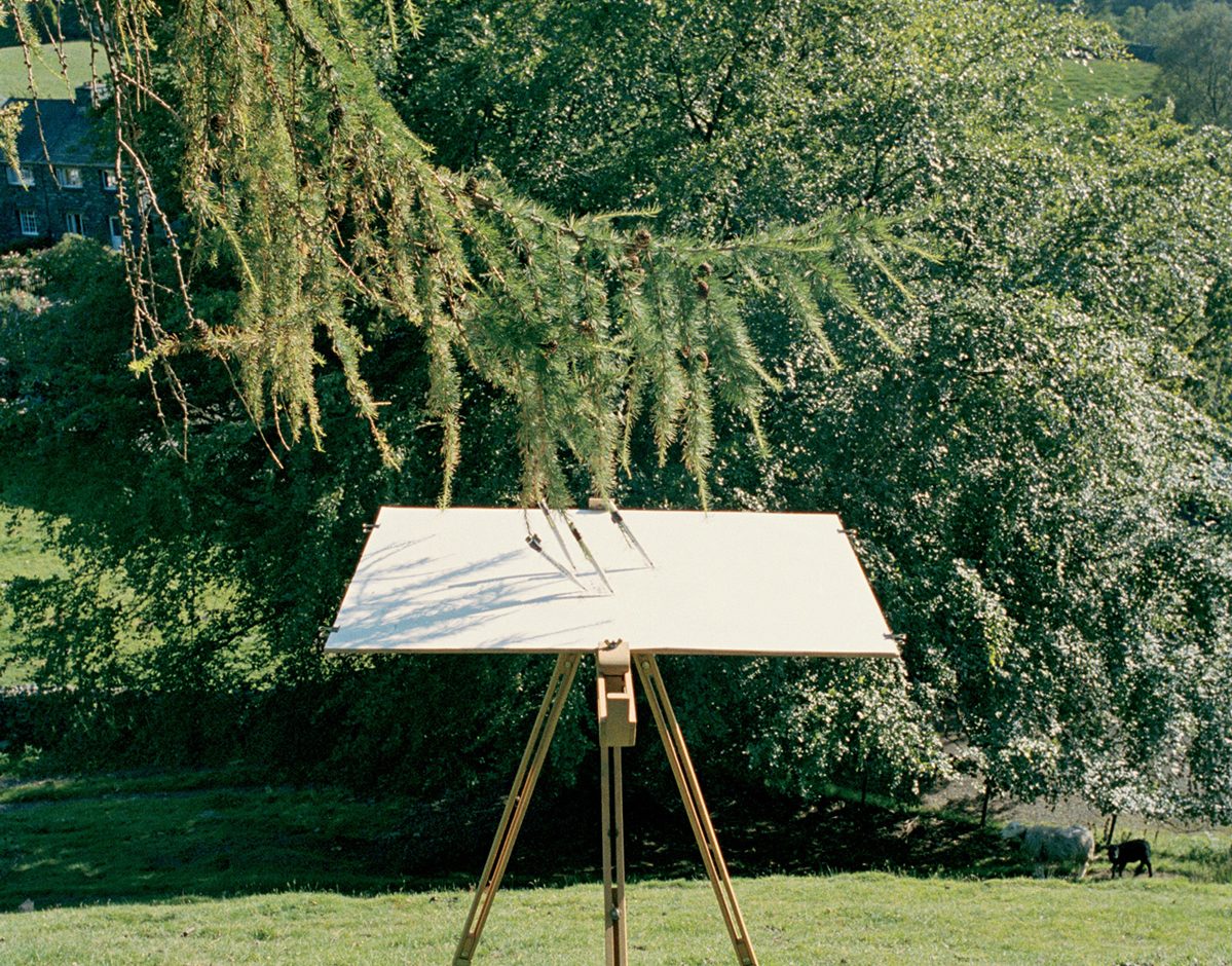 Tim Knowles - Nghệ sỹ, cây, lá và gió