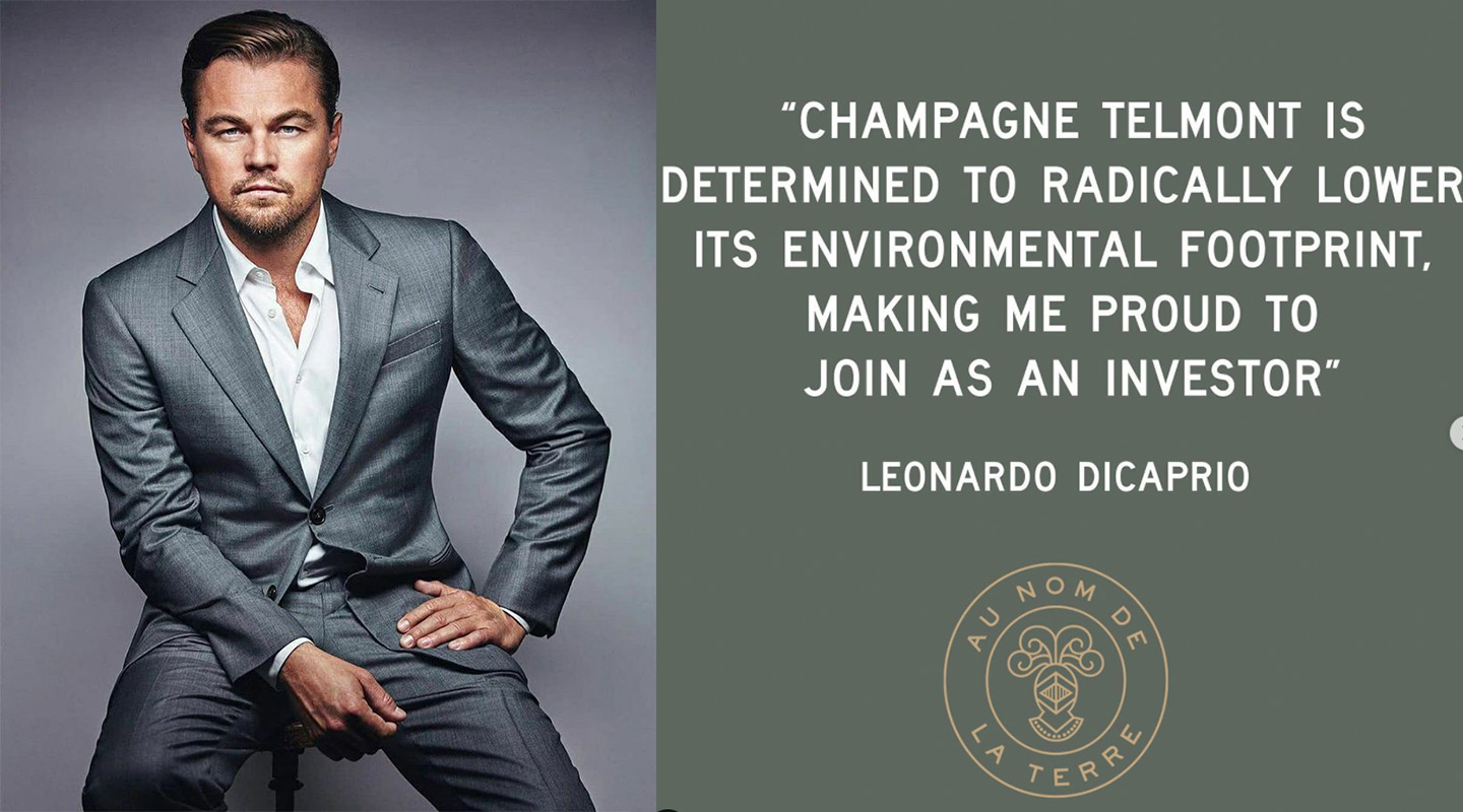 Leonardo DiCaprio mua cổ phần Champagne Telmont - LUXUO.VN