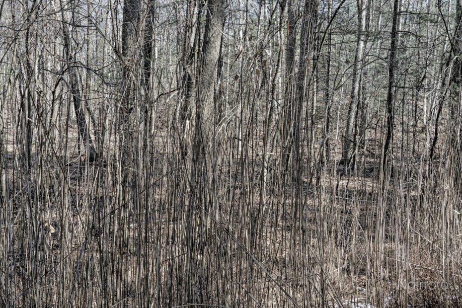 Triển lãm "May": Hành trình của Tom Hricko trong bộ tác phẩm "Light of ...